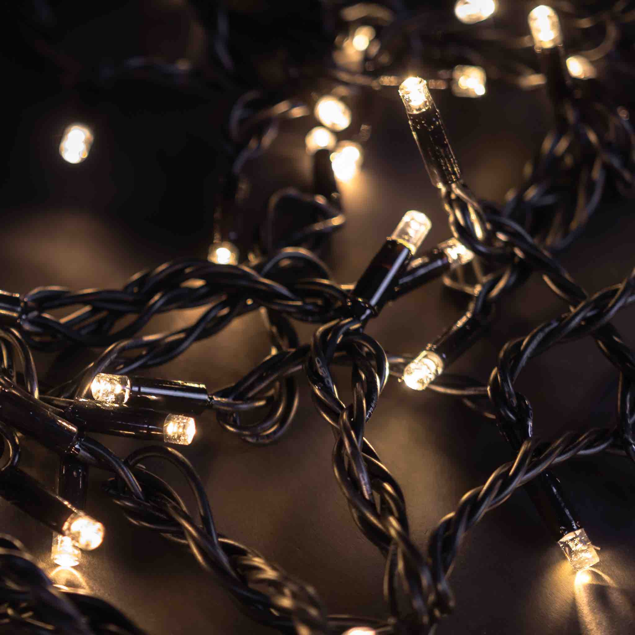 Fairy Lights Hire – Festoon Lighting Perth