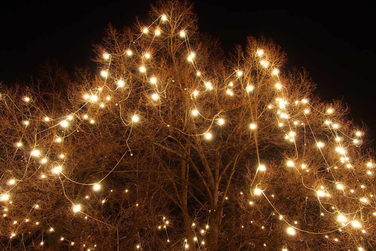 Event Lighting Hire Victoria Park – Festoon Lighting Perth